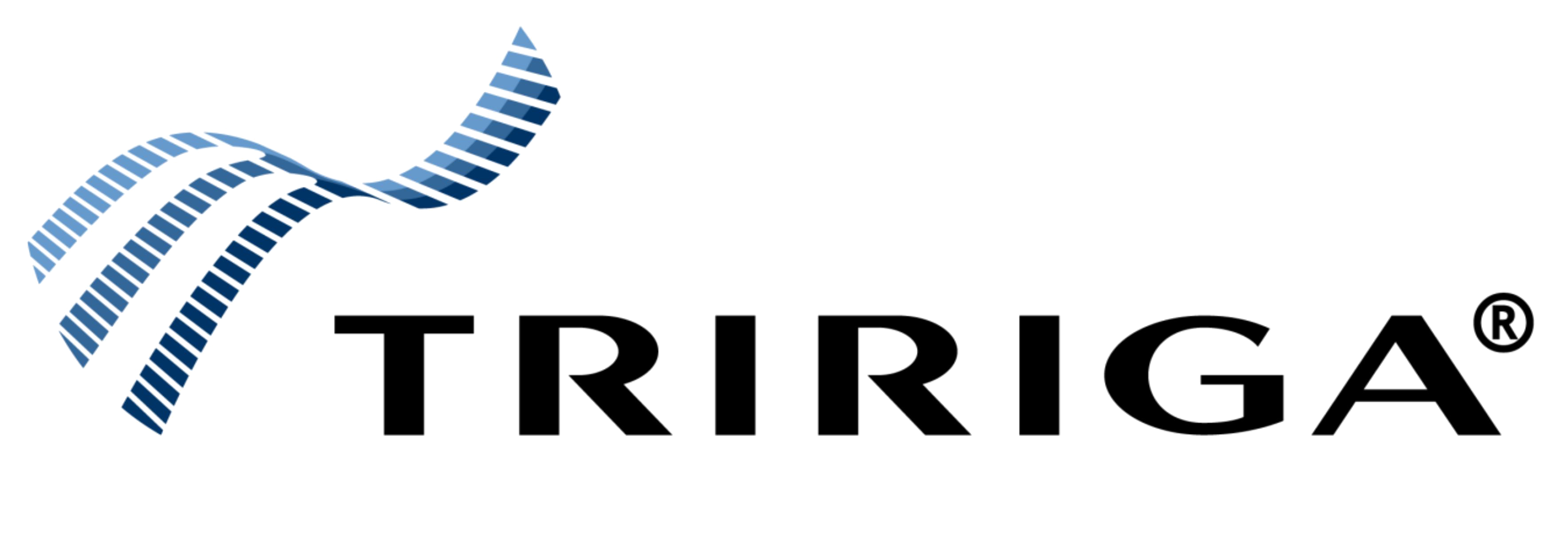 TRIRIGA-BLACK - Arora Engineers, Inc.